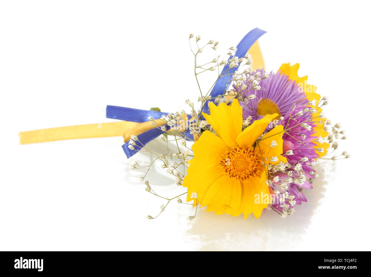 Beautiful field daisies on Cut Out Stock Images & Pictures - Alamy