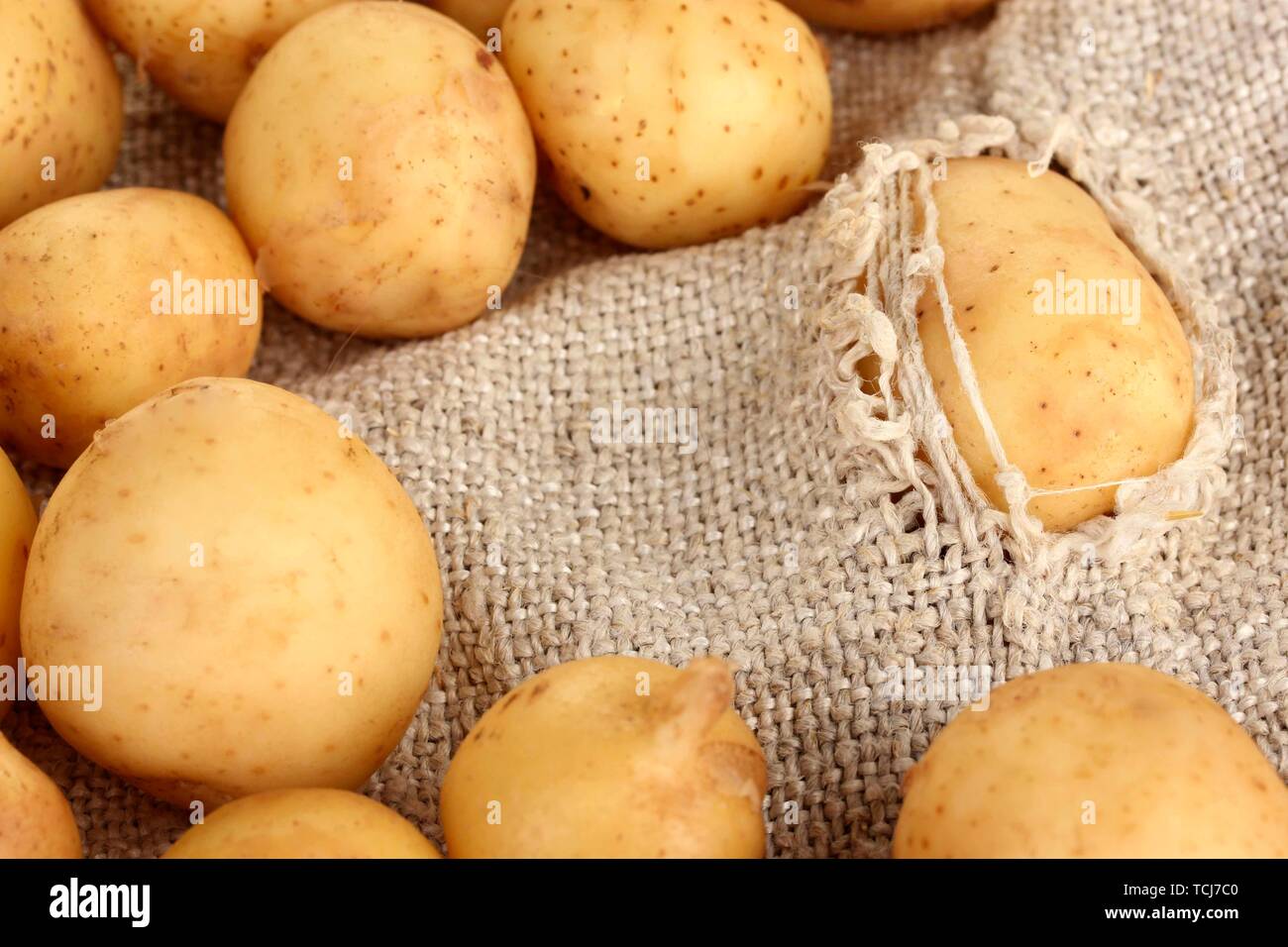 Torn sack hi-res stock photography and images - Alamy