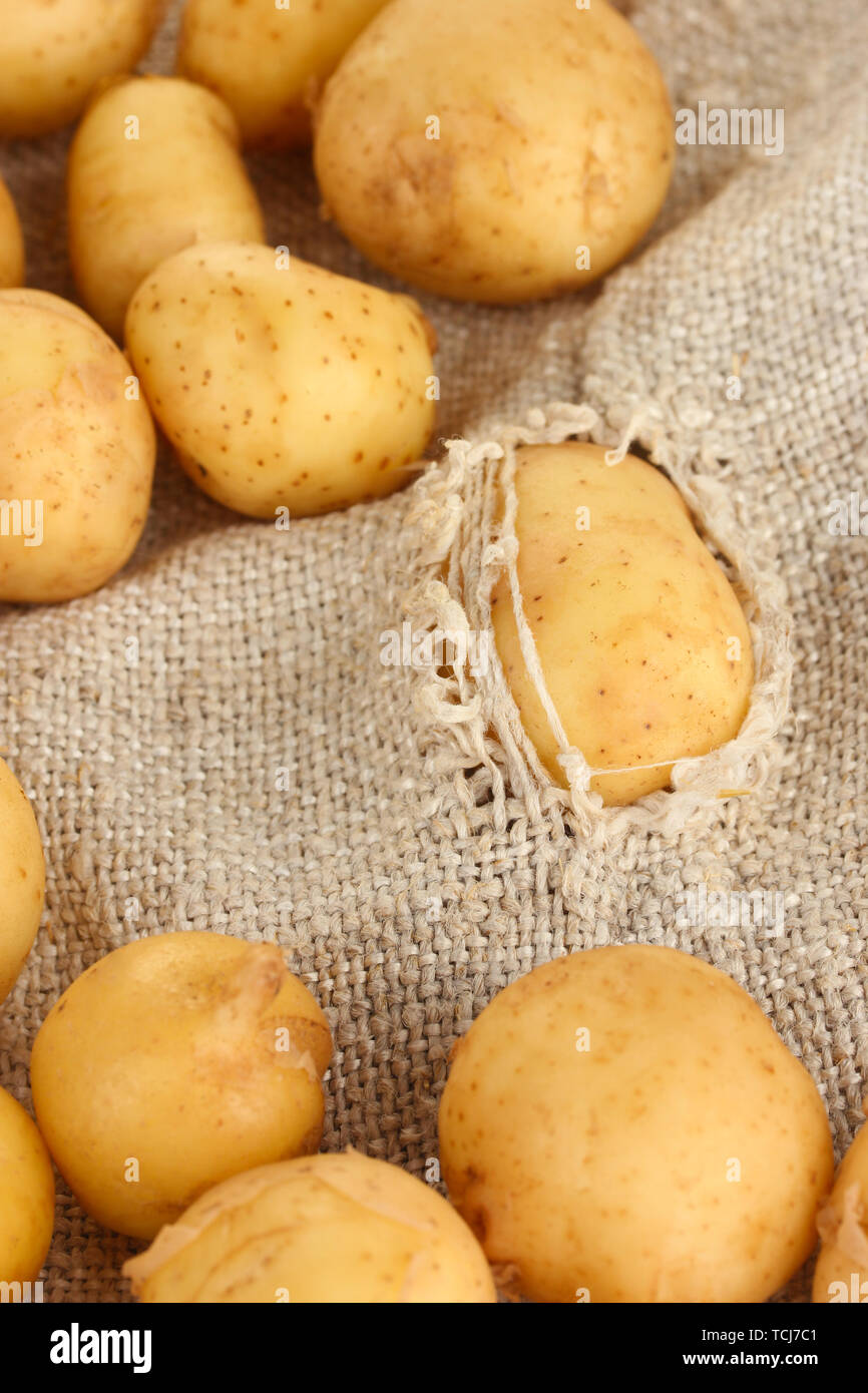 Torn sack hi-res stock photography and images - Alamy