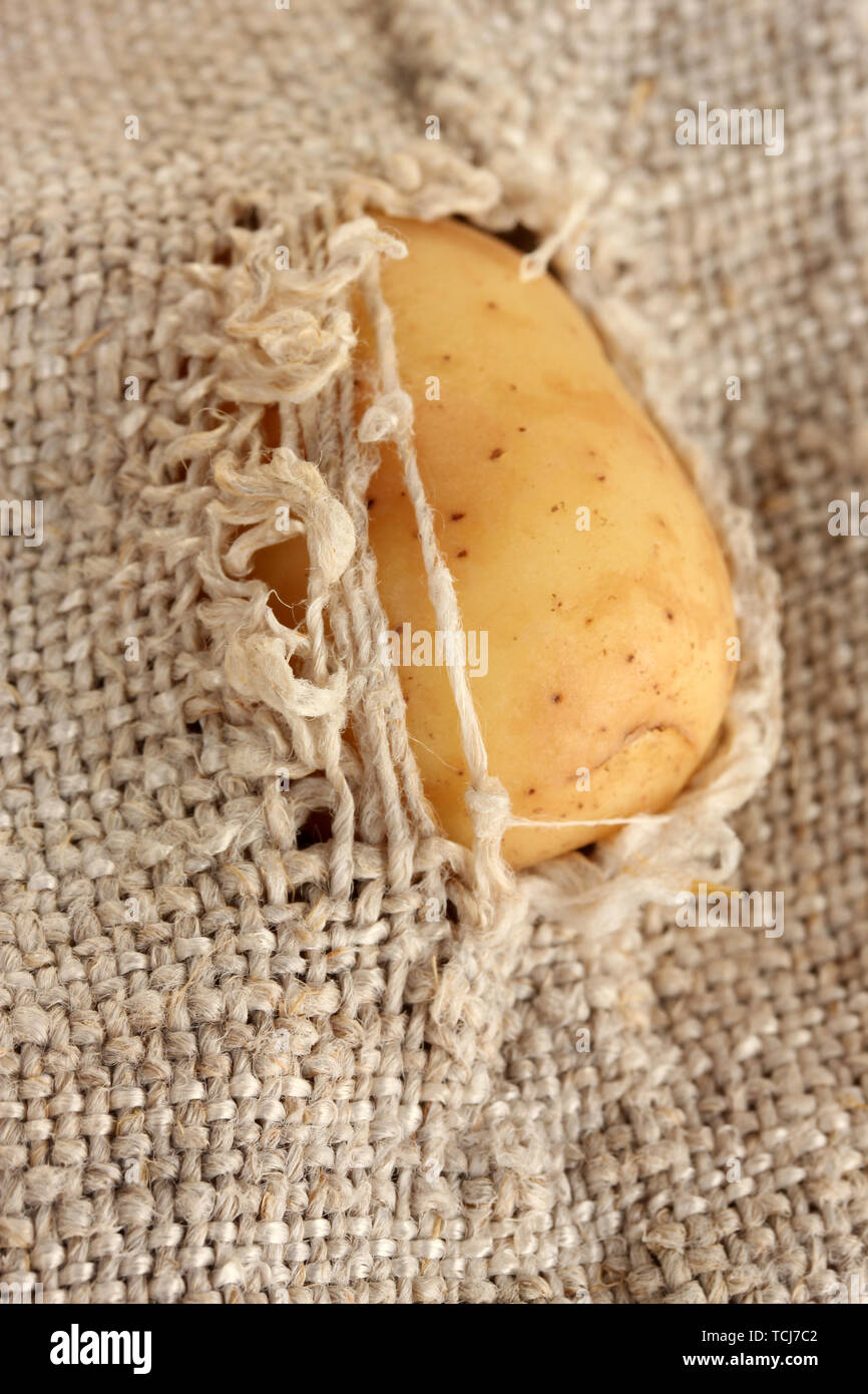 Torn sack hi-res stock photography and images - Alamy