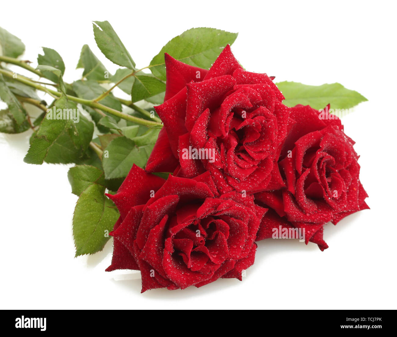 Drop vegetation Cut Out Stock Images & Pictures - Alamy