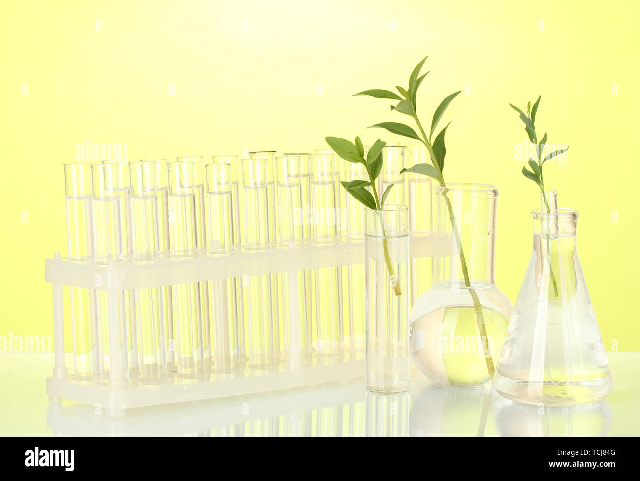 Test-tubes with a transparent solution and the plant on yellow ...