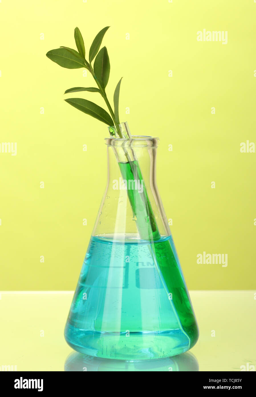 test-tubes with a colorful solution and plant on yellow background ...