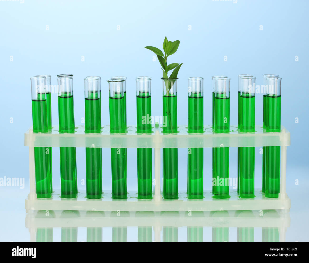 Test-tubes with a green solution and the plant on blue background close ...