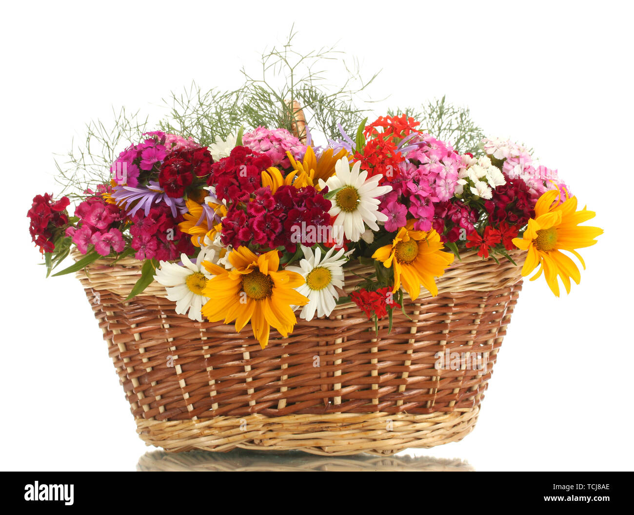 beautiful bouquet of bright wildflowers in basket, isolated on white ...
