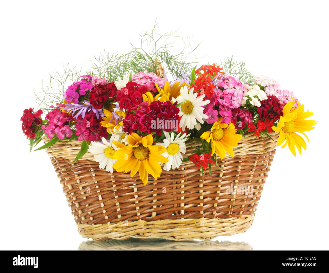 beautiful bouquet of bright wildflowers in basket, isolated on white ...
