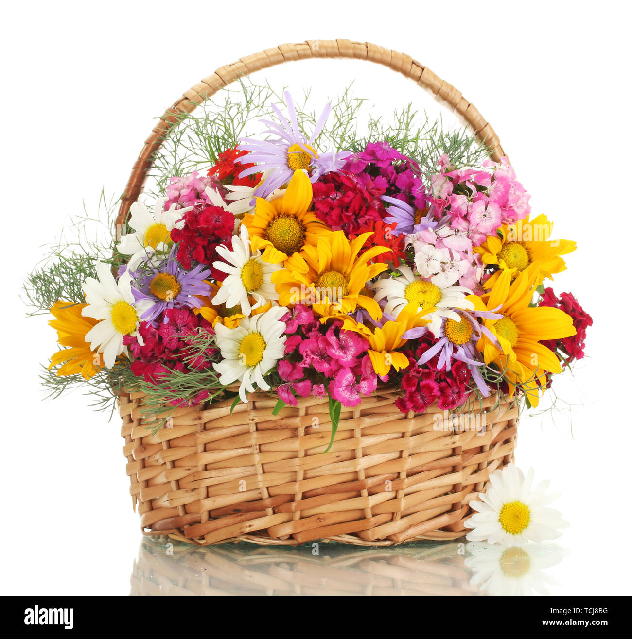 beautiful bouquet of bright wildflowers in basket, isolated on white ...