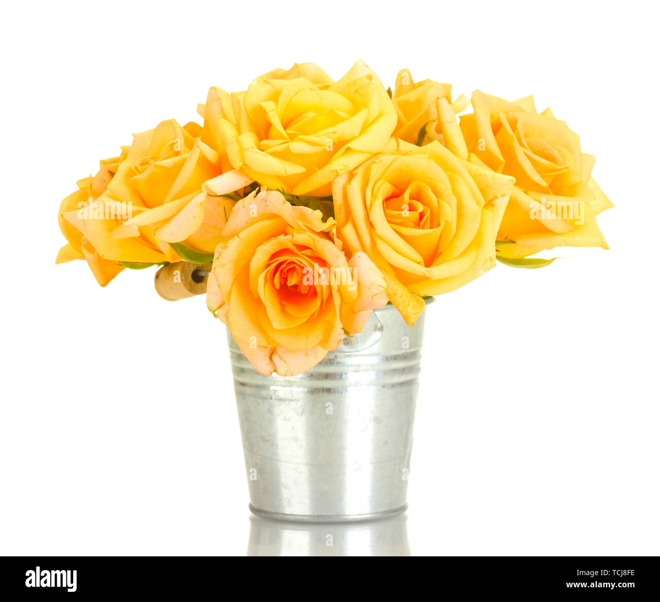 beautiful bouquet of roses in bucket isolated on white Stock Photo - Alamy