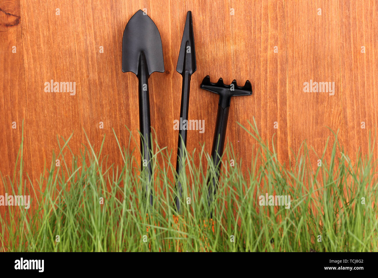 Green grass and garden tools on wooden background Stock Photo - Alamy