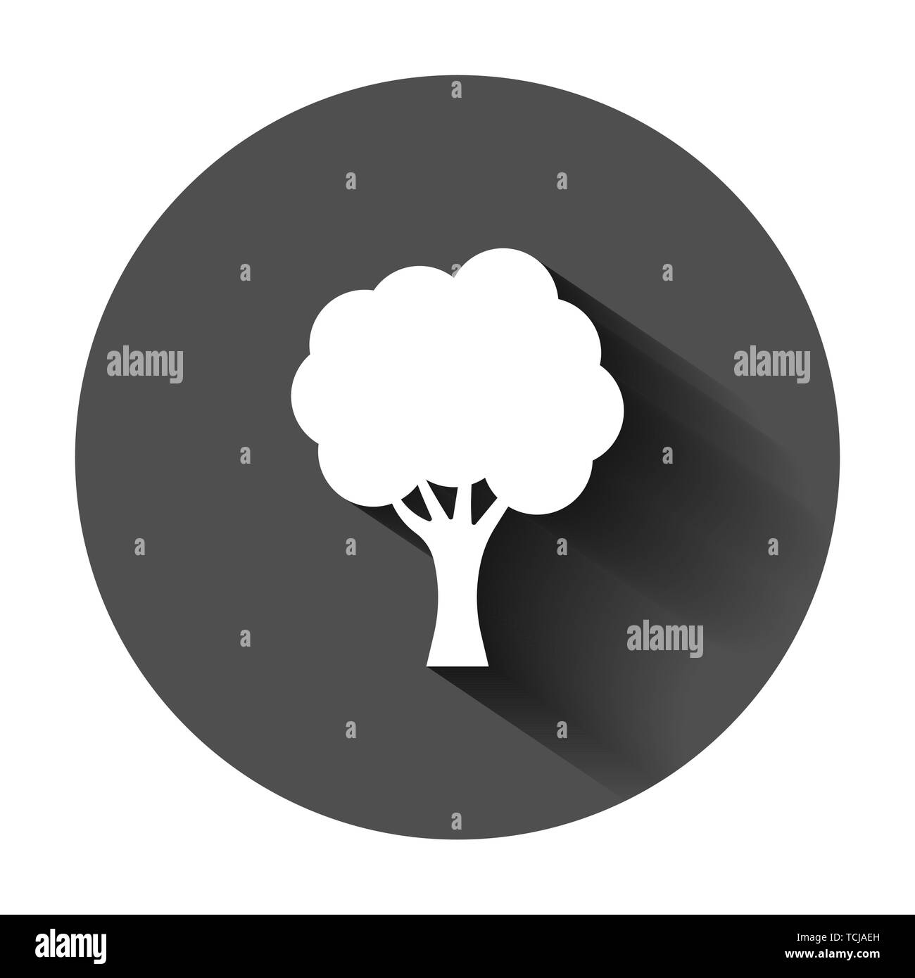 Long leaf pine forest Stock Vector Images - Alamy