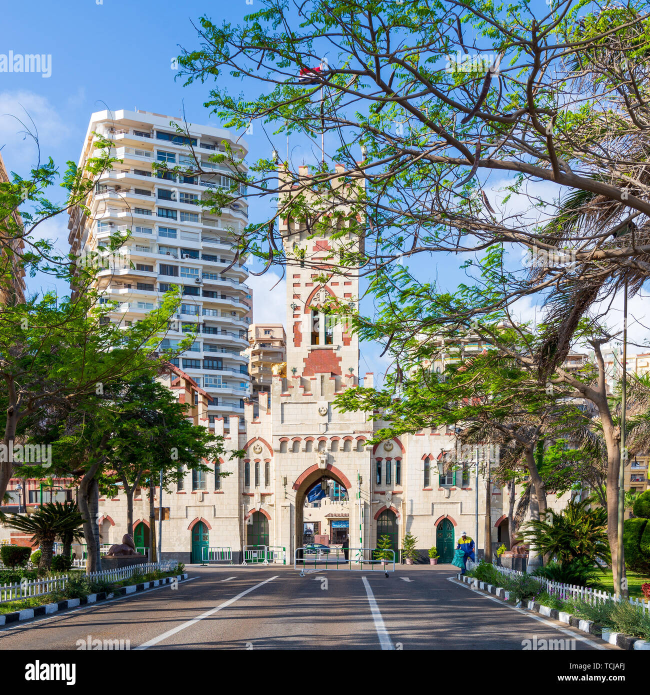 Alexandria, Egypt - May 13 2018: Asphalt road framed by trees leading ...
