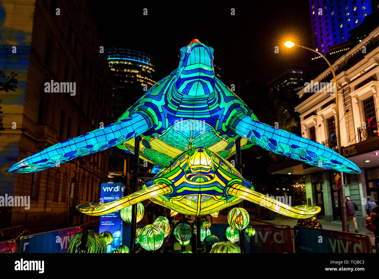 Turtle light installation as part of Vivid in Sydney, Australia Stock ...