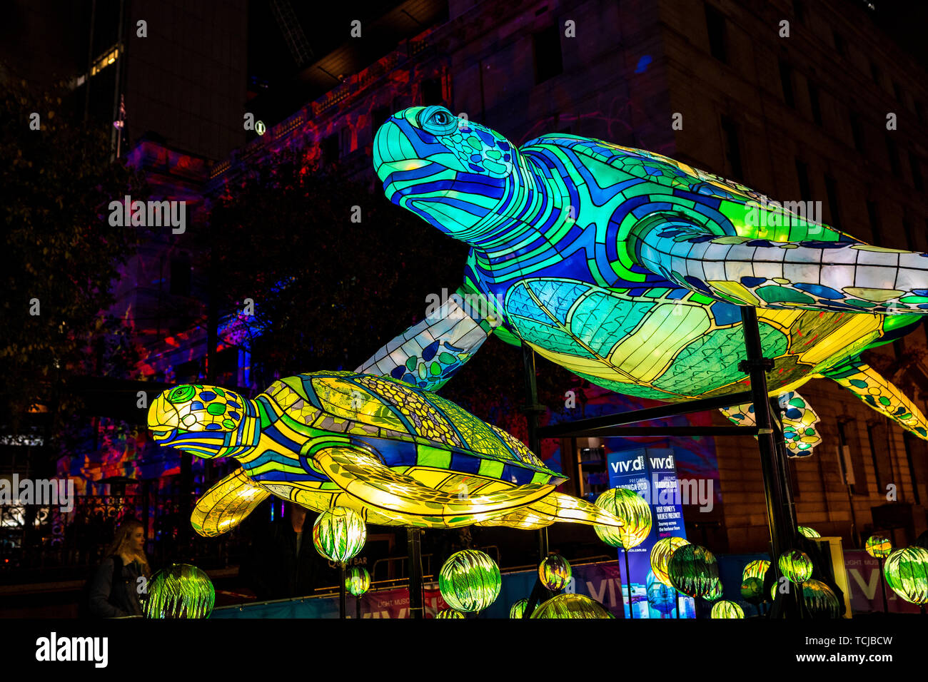 Turtle light installation as part of Vivid in Sydney, Australia Stock ...