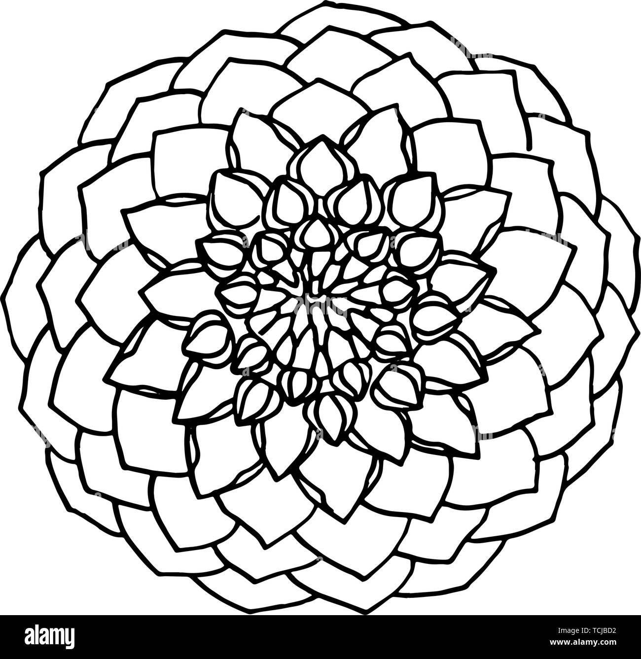 hand drawn dahlia flower. floral design element isolated on white ...