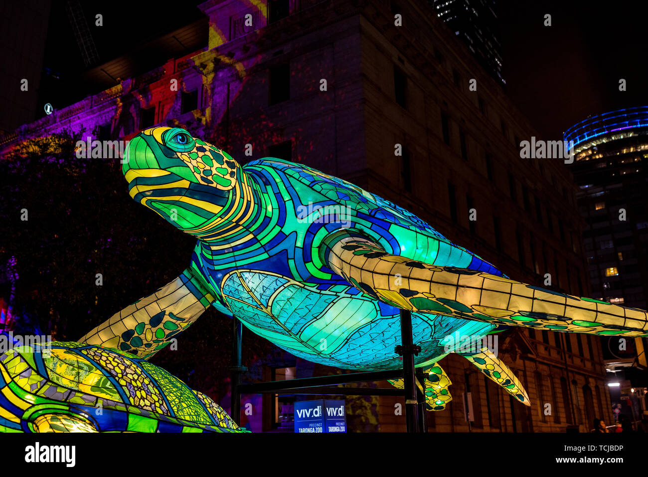 Turtle light installation as part of Vivid in Sydney, Australia Stock ...