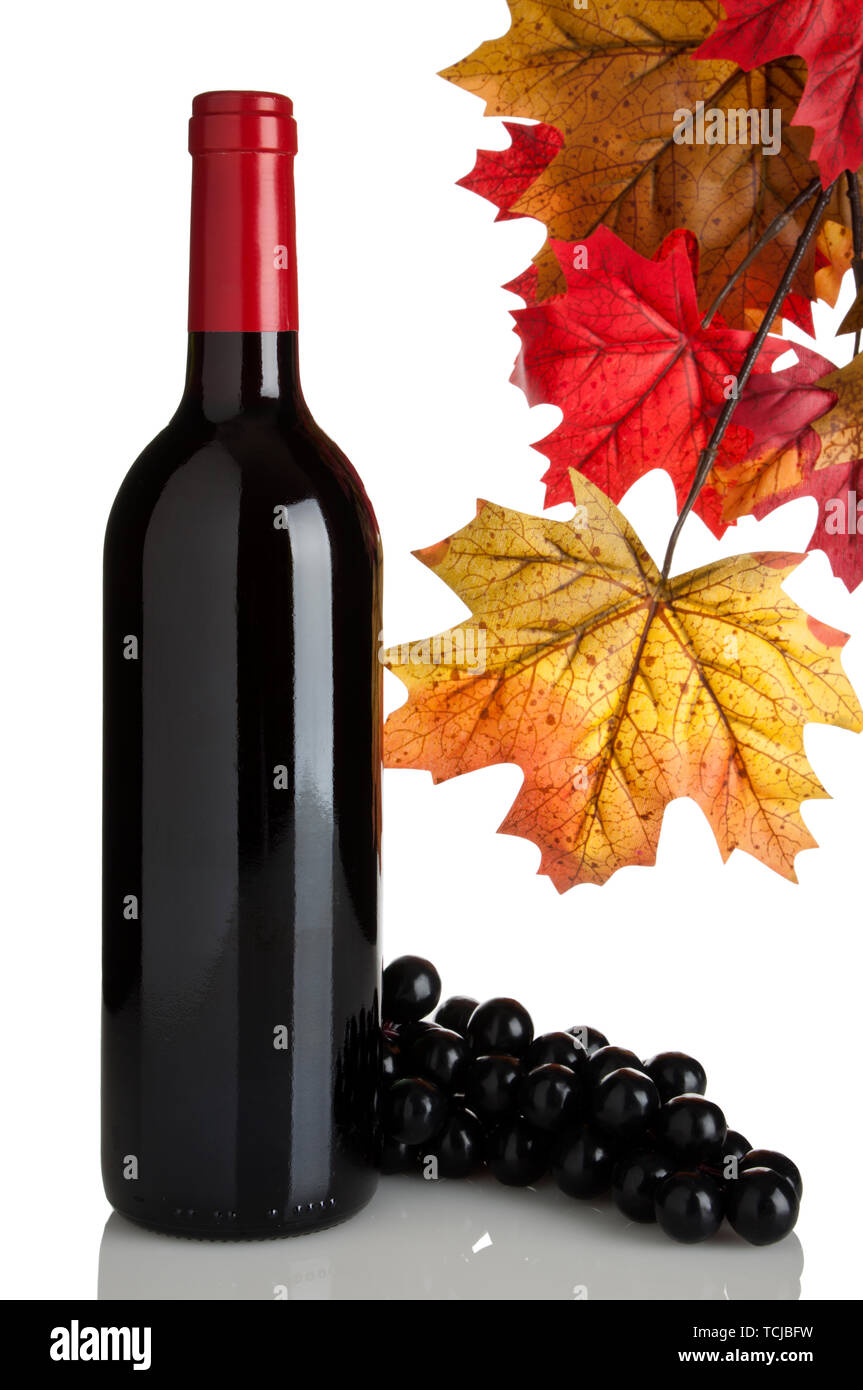 bottle of red wine without label, fall leaves and grapes isolated on ...