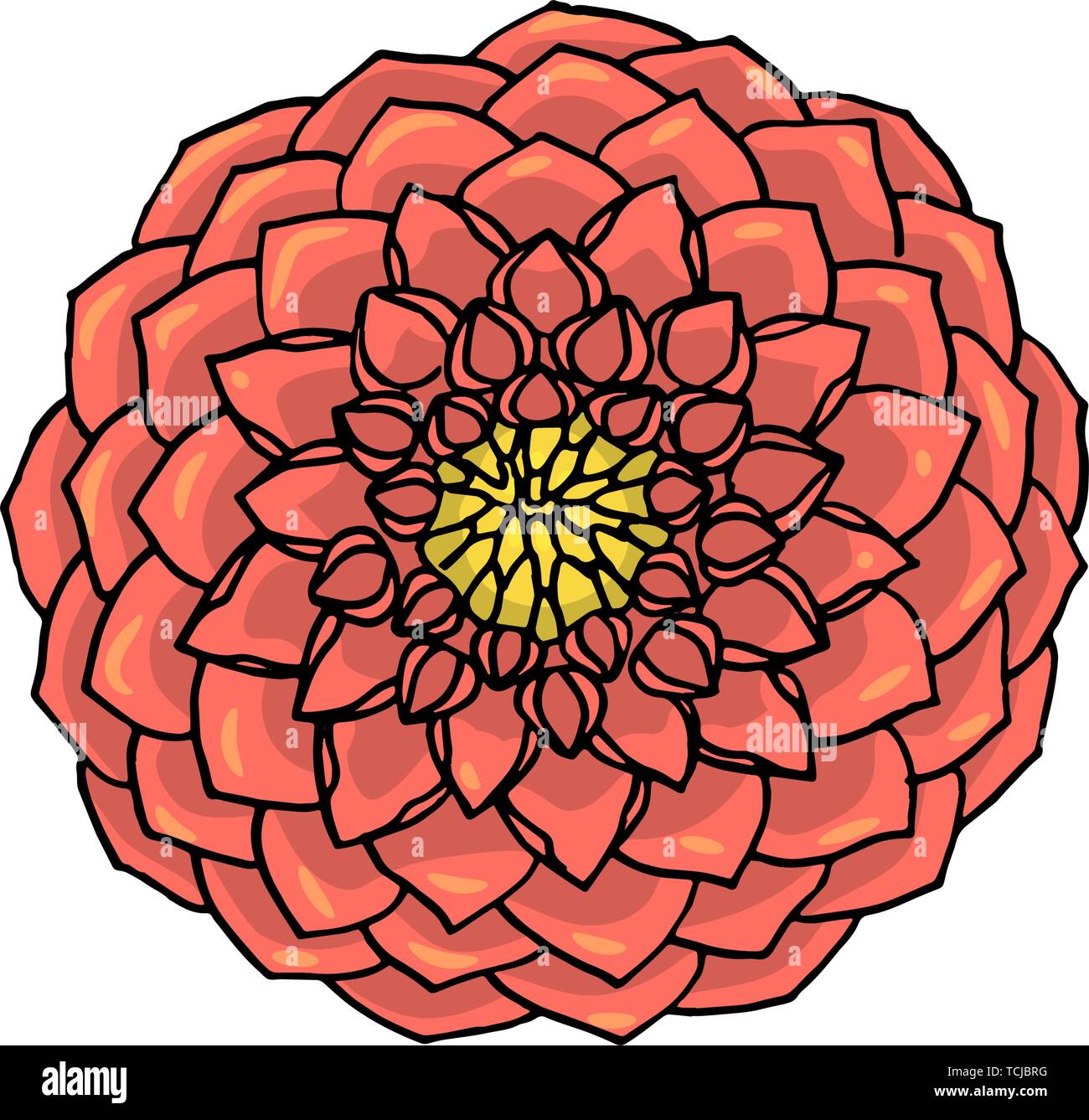 hand drawn dahlia flower. floral design element isolated on white ...