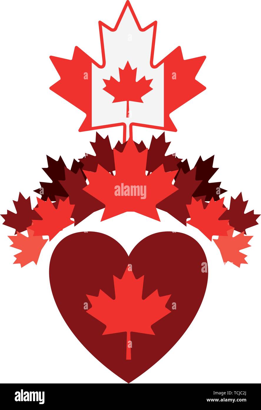 Maple leaf heart and canada symbol design Stock Vector Image & Art - Alamy