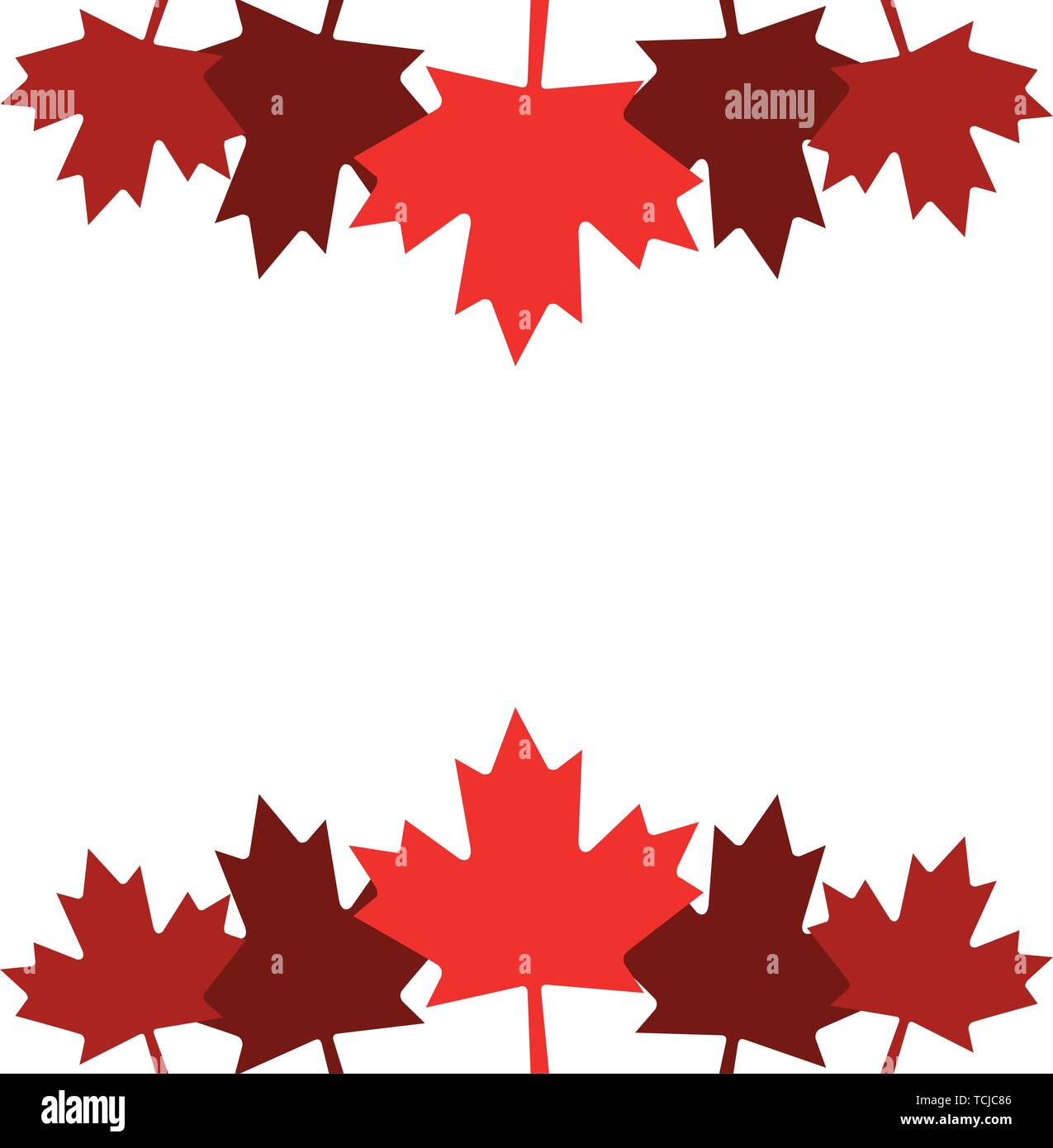Maple leaf of canada design Stock Vector Image & Art - Alamy
