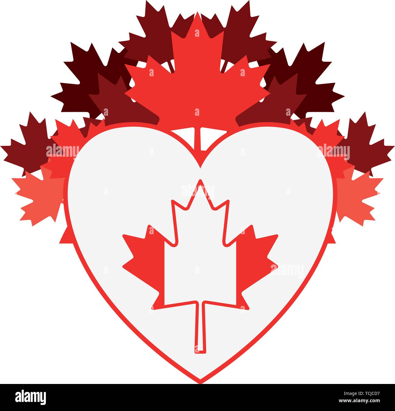 Maple leaf heart and canada symbol design Stock Vector Image & Art - Alamy
