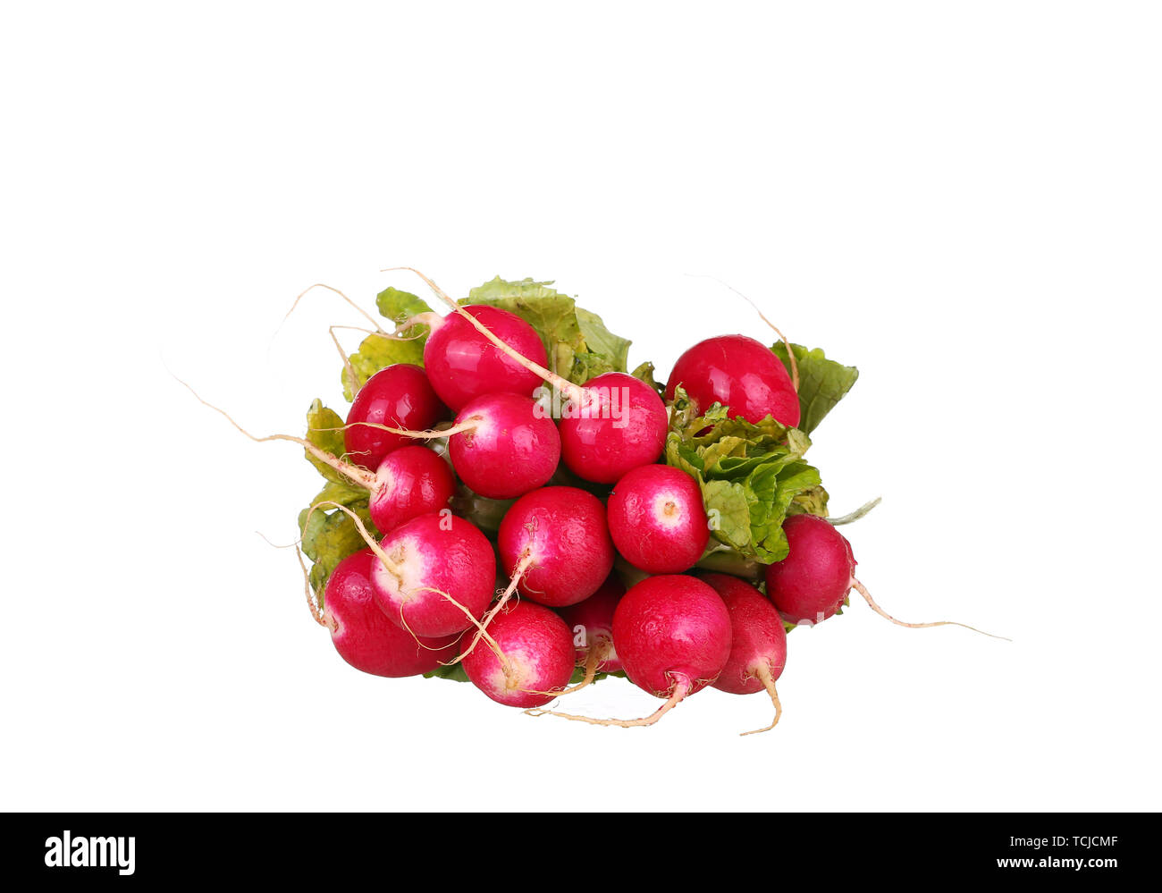 Fresh red radish isolated on white background Stock Photo - Alamy