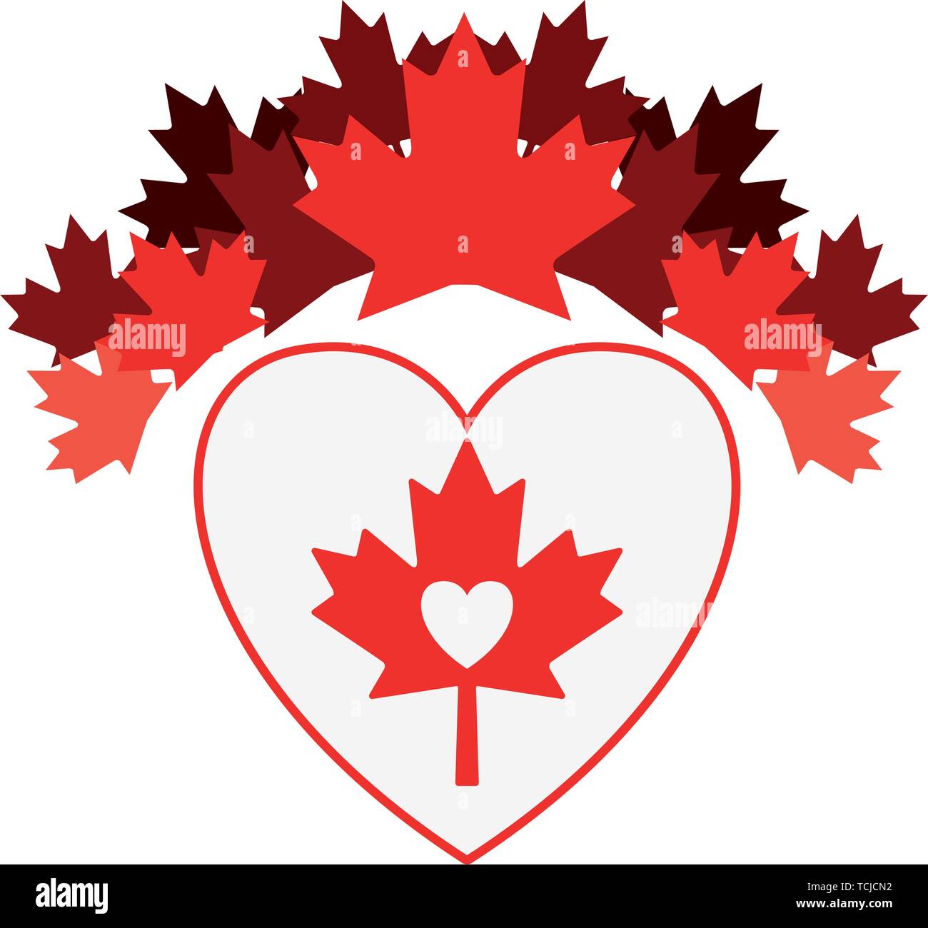 Maple leaf of canada design Stock Vector Image & Art - Alamy