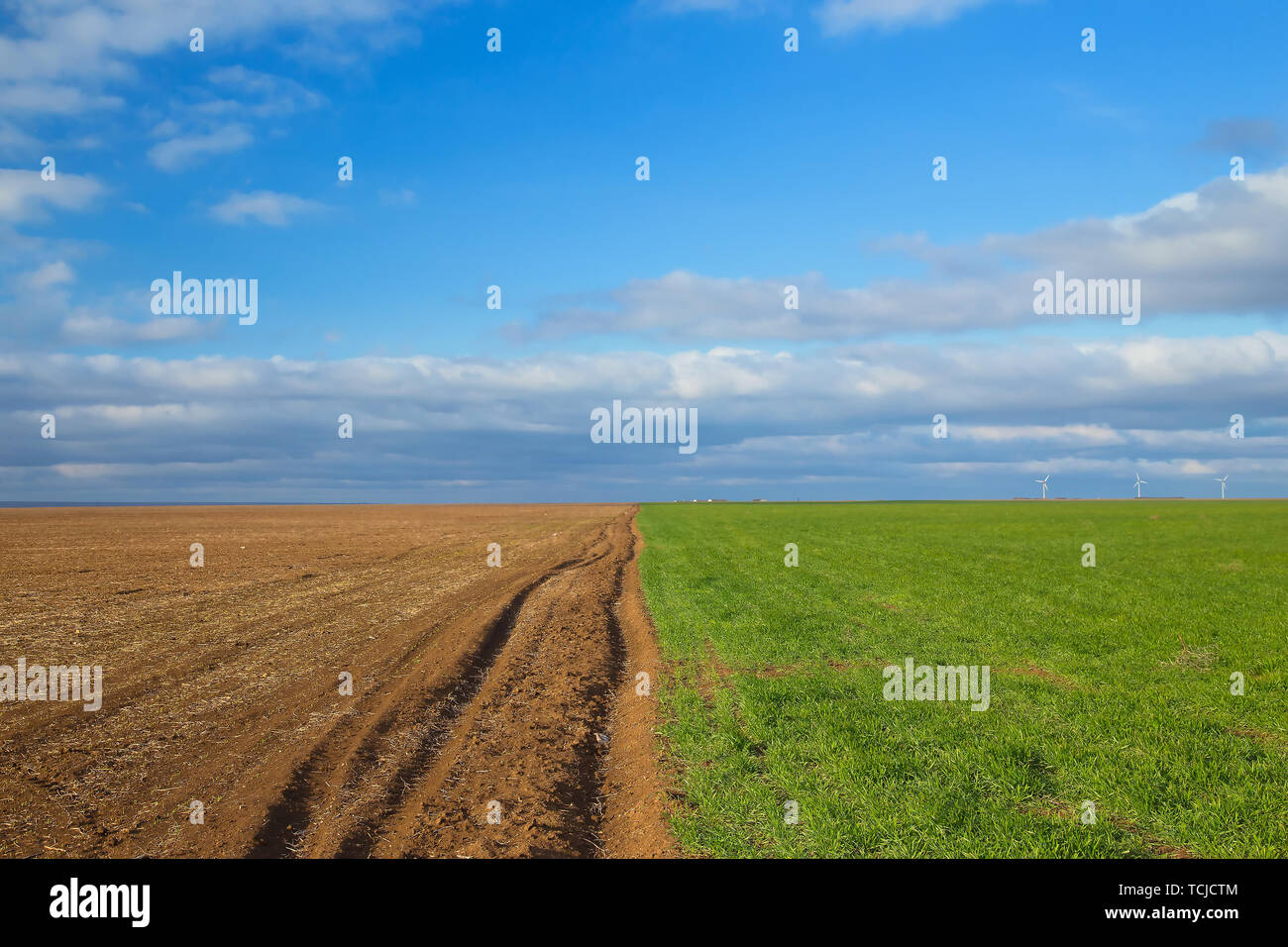 Green grass on edge of ploughed field. environmental concept Stock ...