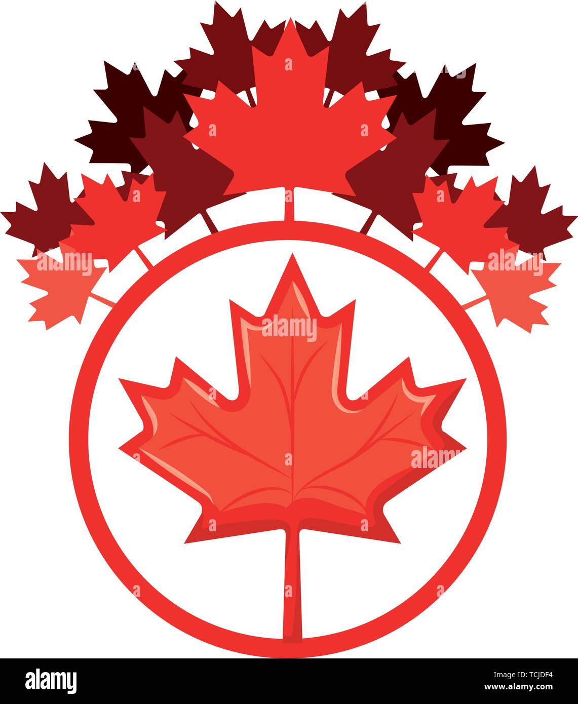 Maple leaf of canada design Stock Vector Image & Art - Alamy