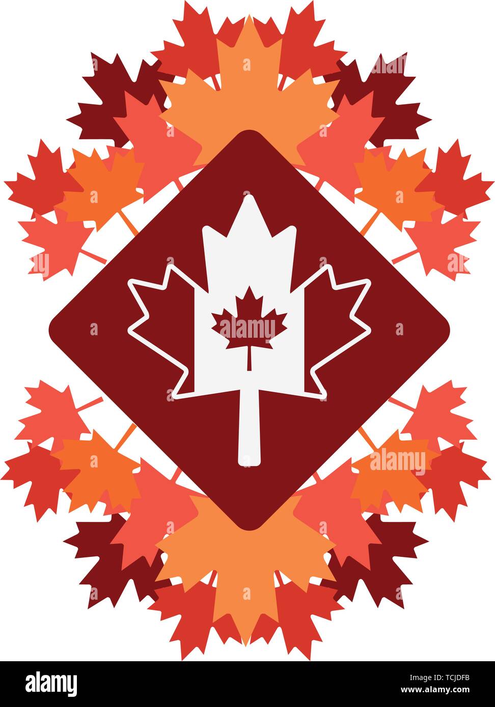 Maple leaf and canada symbol design Stock Vector Image & Art - Alamy