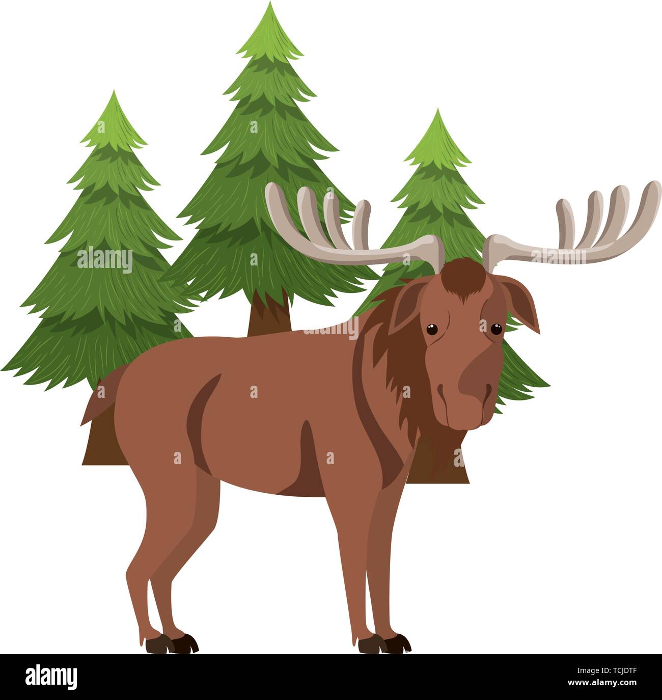 Isolated moose forest animal design Stock Vector Image & Art - Alamy