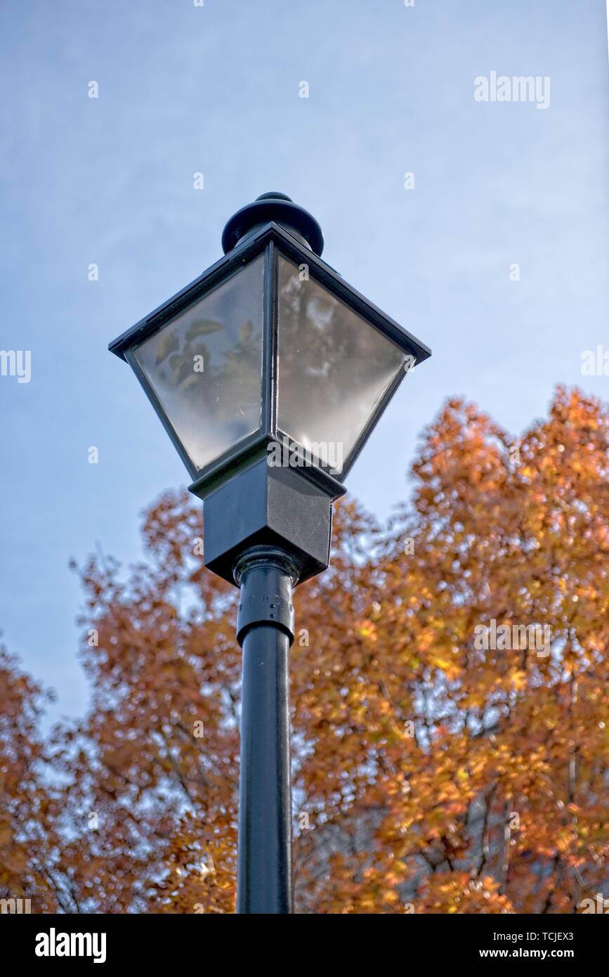 Fall foliage and light hi-res stock photography and images - Alamy