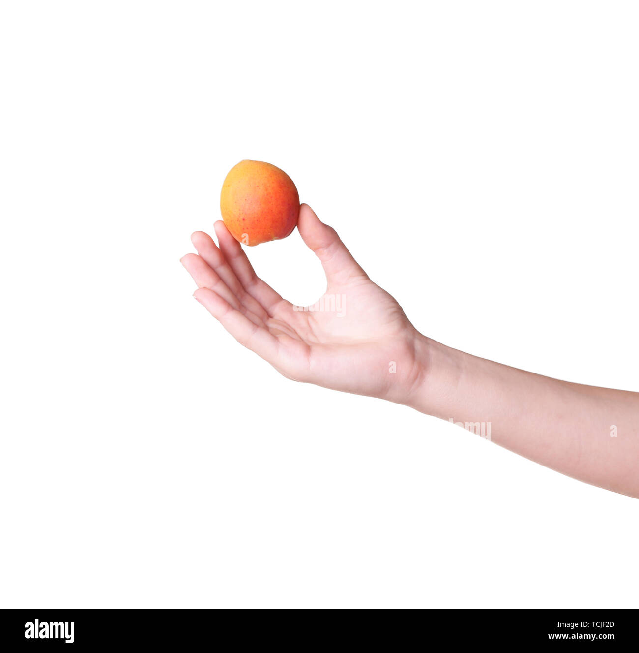 ripe apricots in a hand on a white background Stock Photo - Alamy