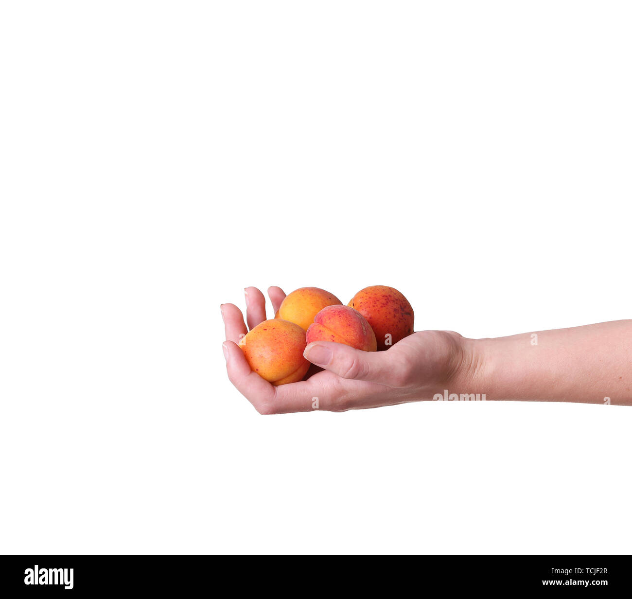 ripe apricots in a hand on a white background Stock Photo - Alamy