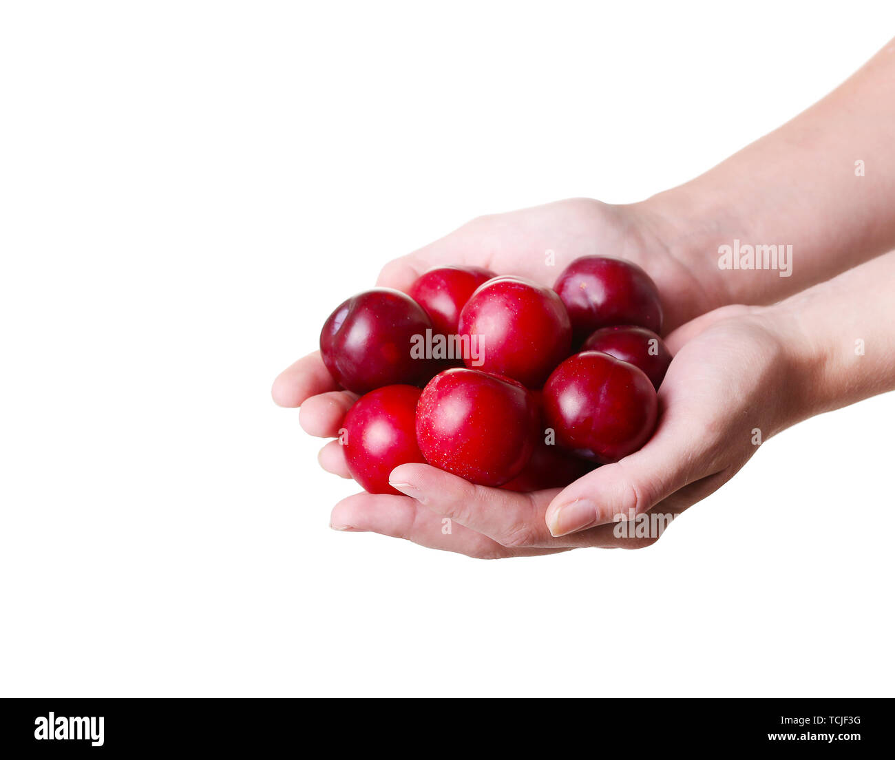 plum in hand on white isolate Stock Photo - Alamy