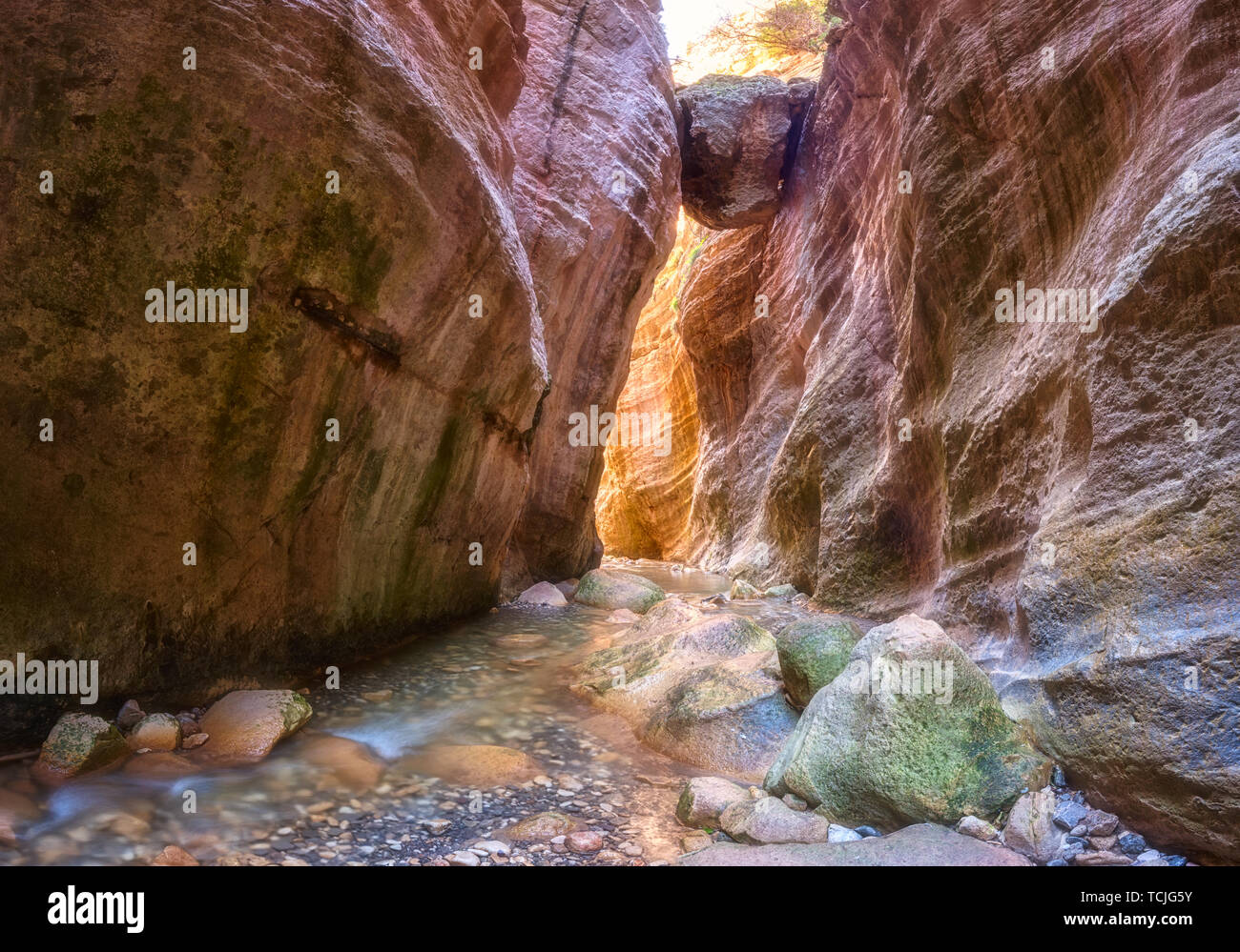 Amazing Avakas gorge, nature landscape, Cyprus. View of the popular ...