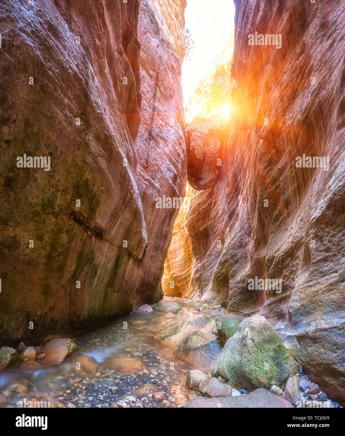 Amazing Avakas gorge, nature landscape, Cyprus. View of the popular ...