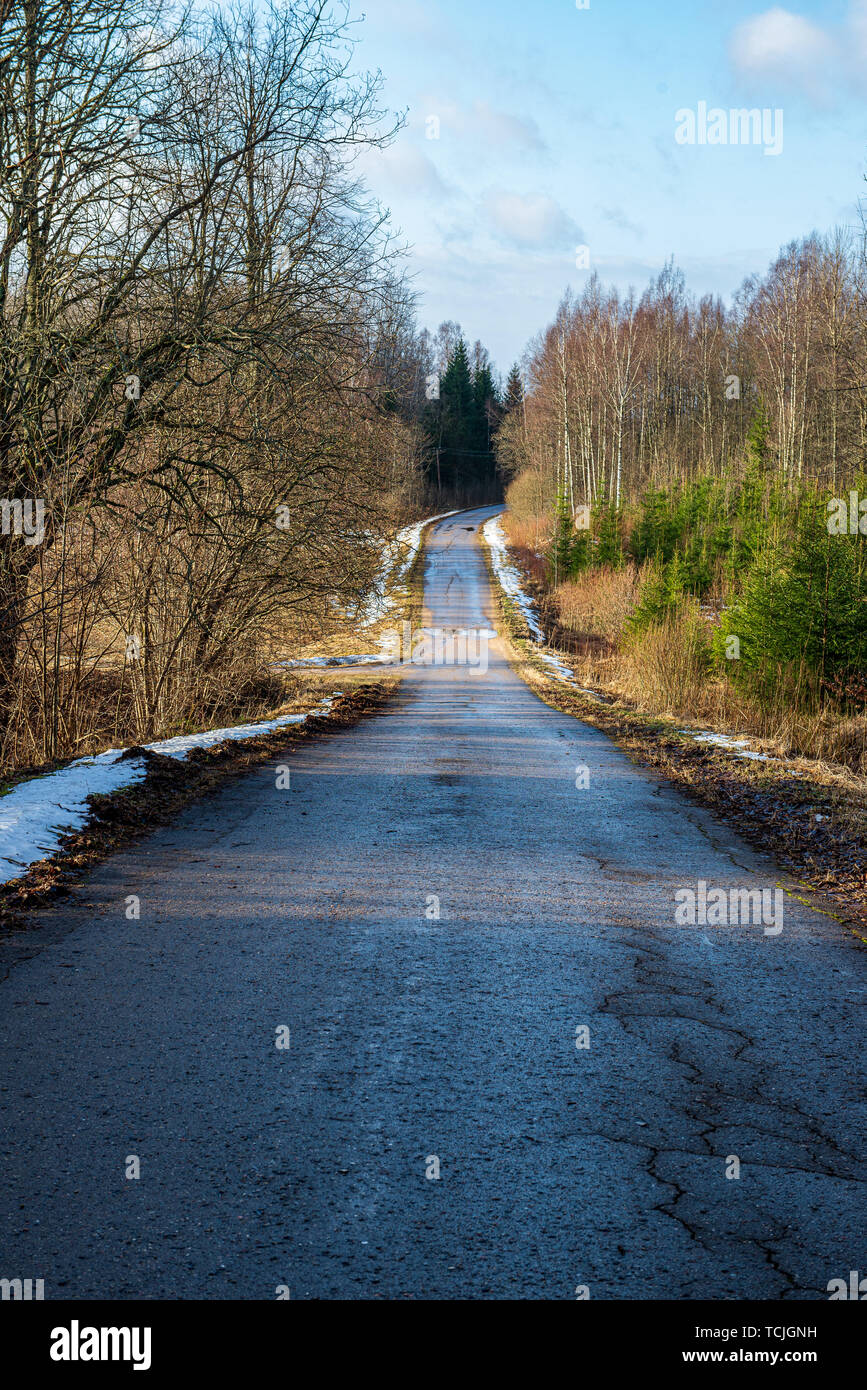 simple countryside dirt road in spring with green foliage and gravel ...