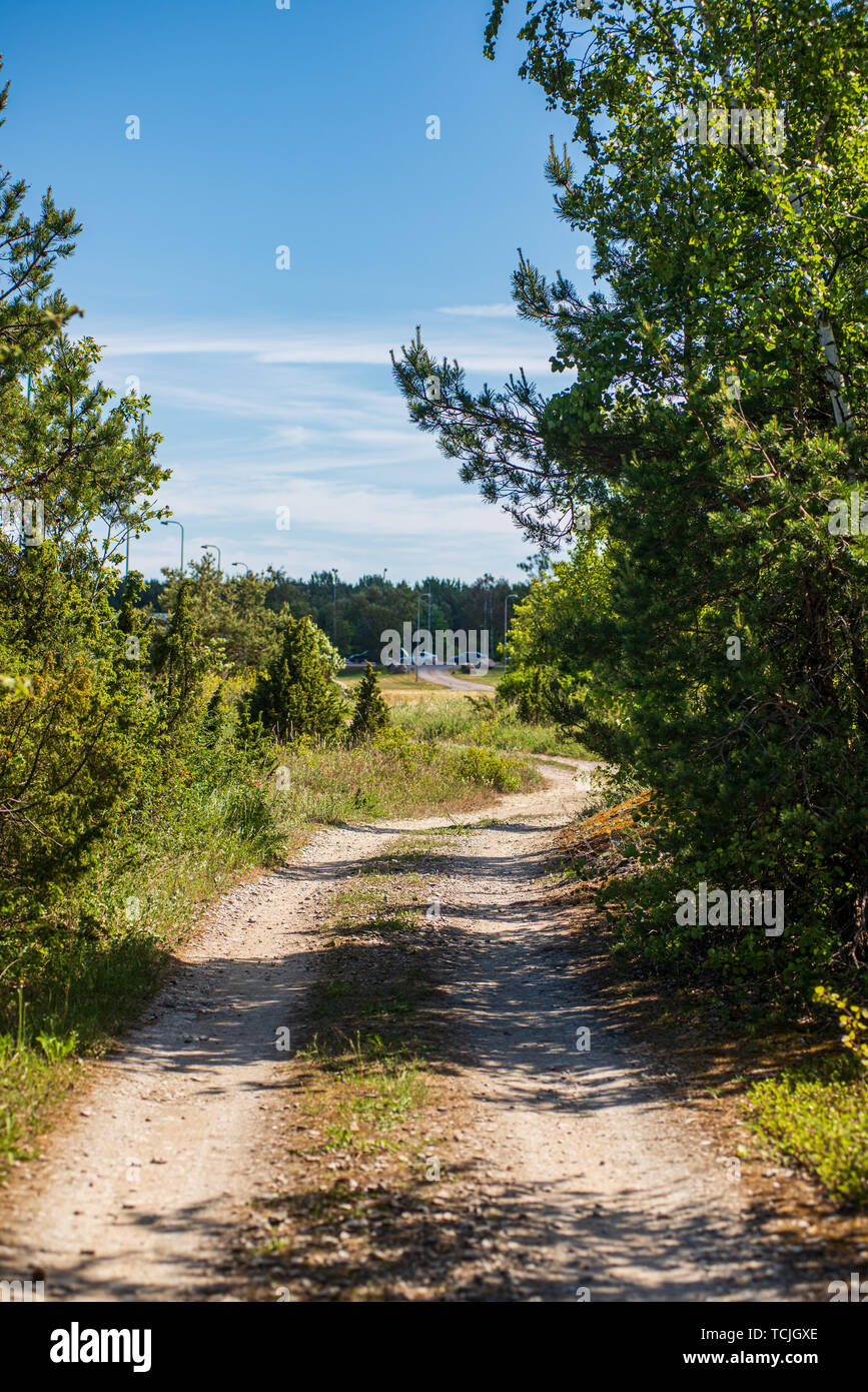 simple countryside dirt road in spring with green foliage and gravel ...