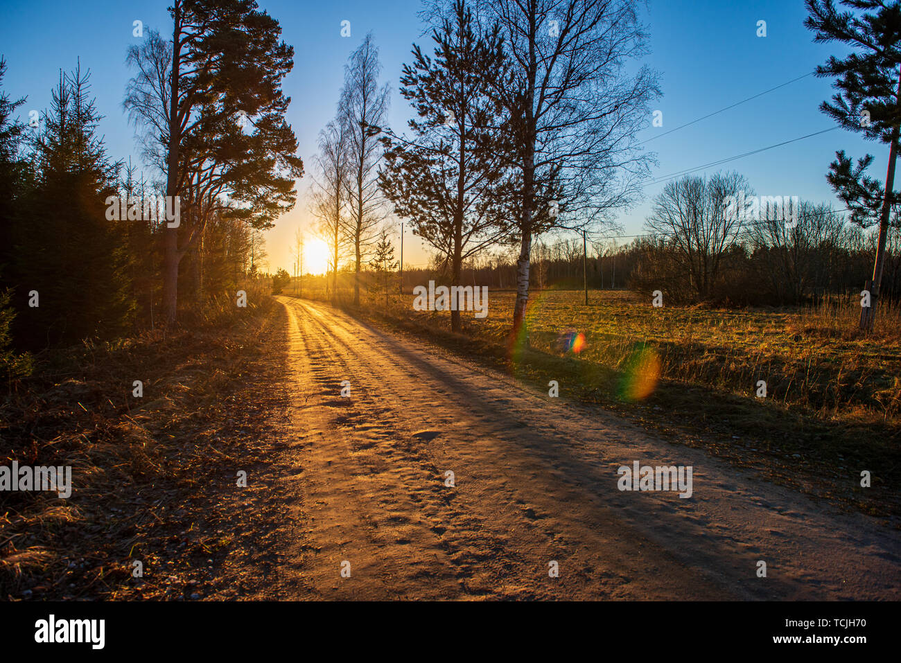simple countryside dirt road in spring with green foliage and gravel ...