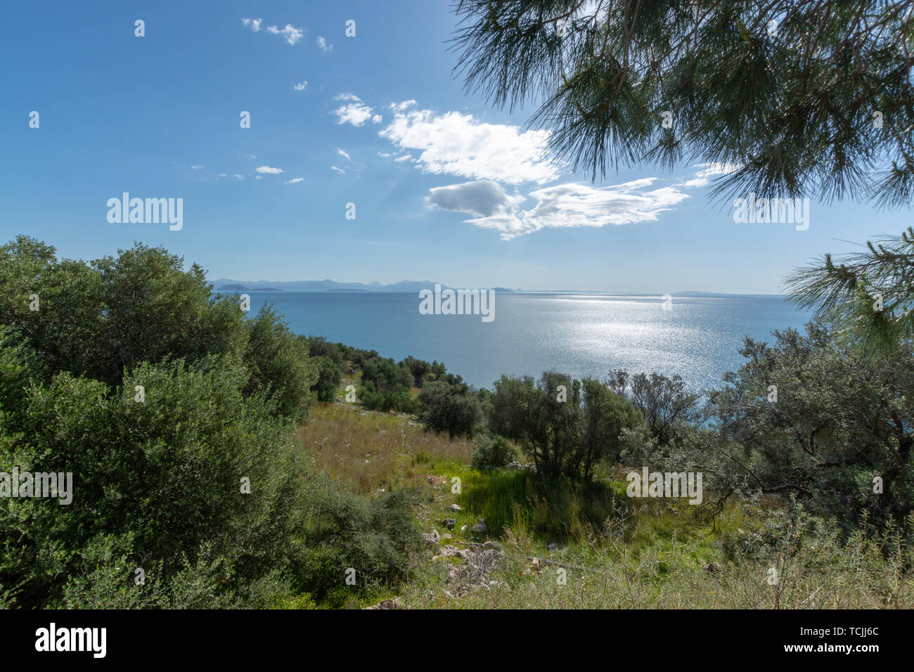 Landscape with small greek islands bays and trees on Peloponnese ...