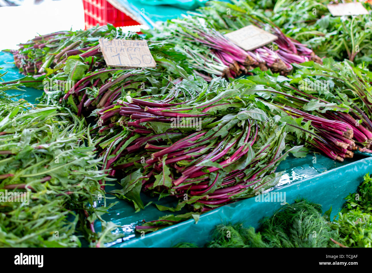 Farmer market in Nafplio, Greece, new harvest of green salad lettuce ...