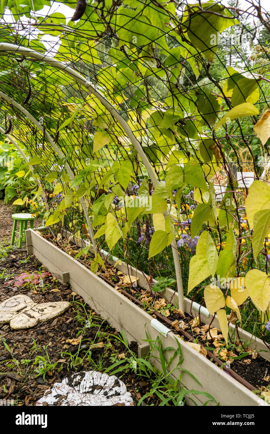 Trellis arch hi-res stock photography and images - Alamy