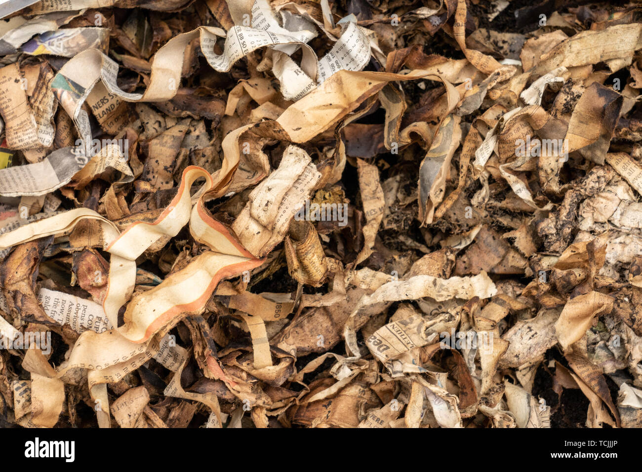 Newspaper strip hi-res stock photography and images - Alamy