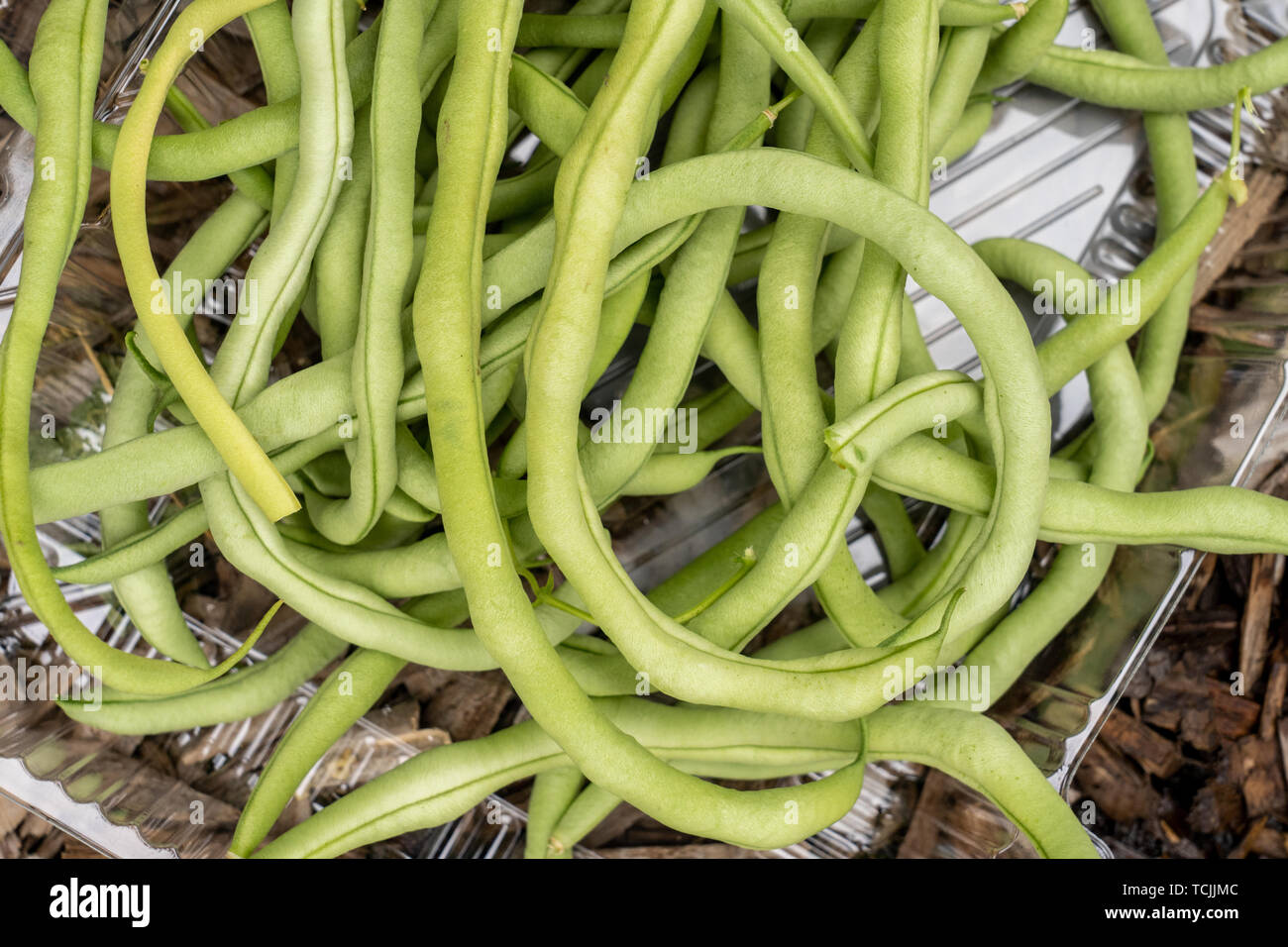 Bellevue washington runner hi-res stock photography and images - Alamy
