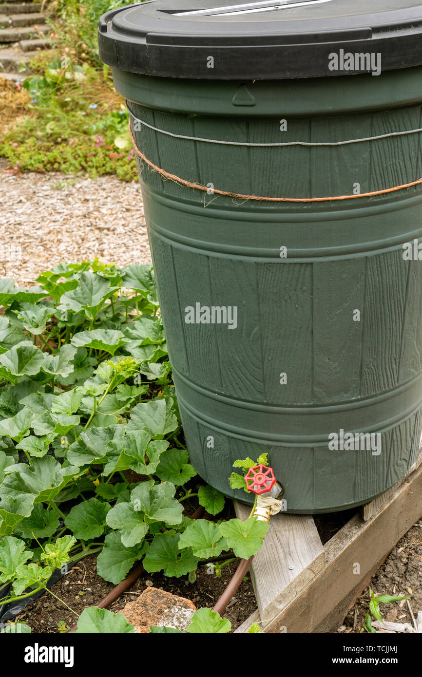 Collecting rainwater to water plants hi-res stock photography and ...