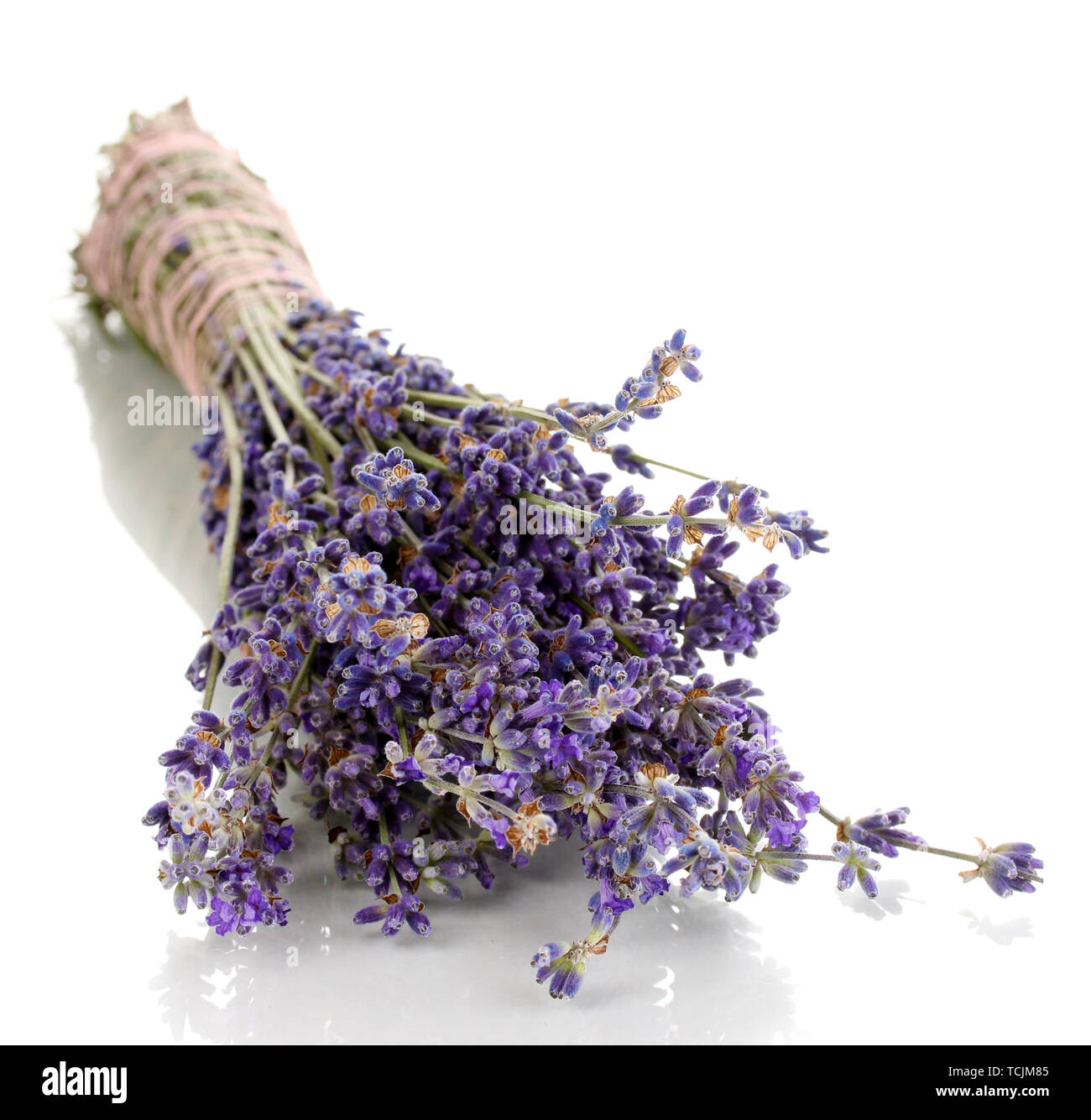 Lavender flowers isolated on white Stock Photo - Alamy