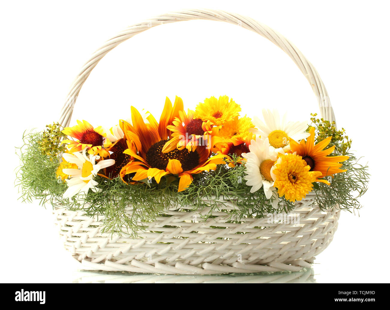 beautiful bouquet of bright wildflowers in basket, isolated on white ...