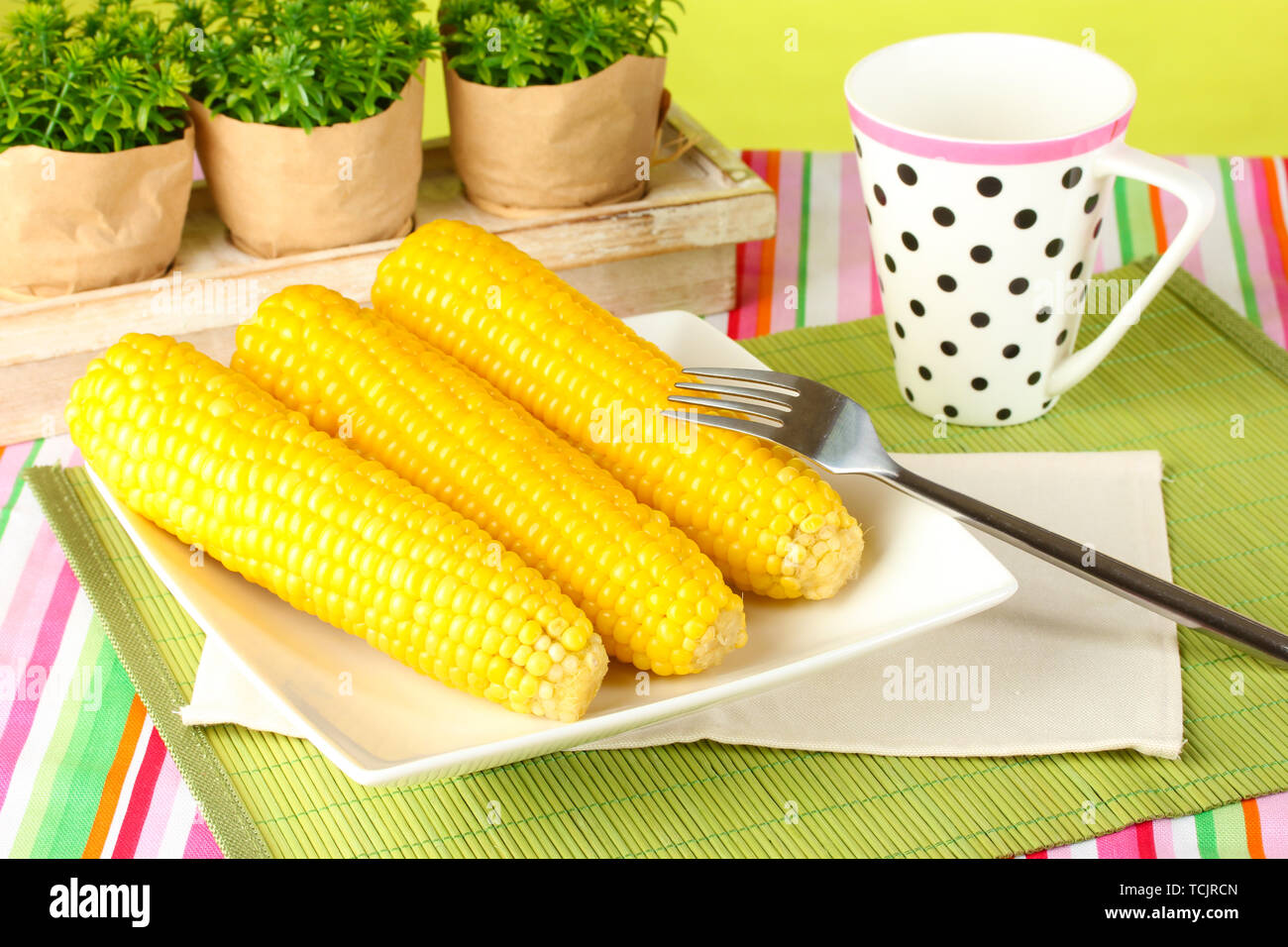 boiled corn and a cup on a green background Stock Photo - Alamy