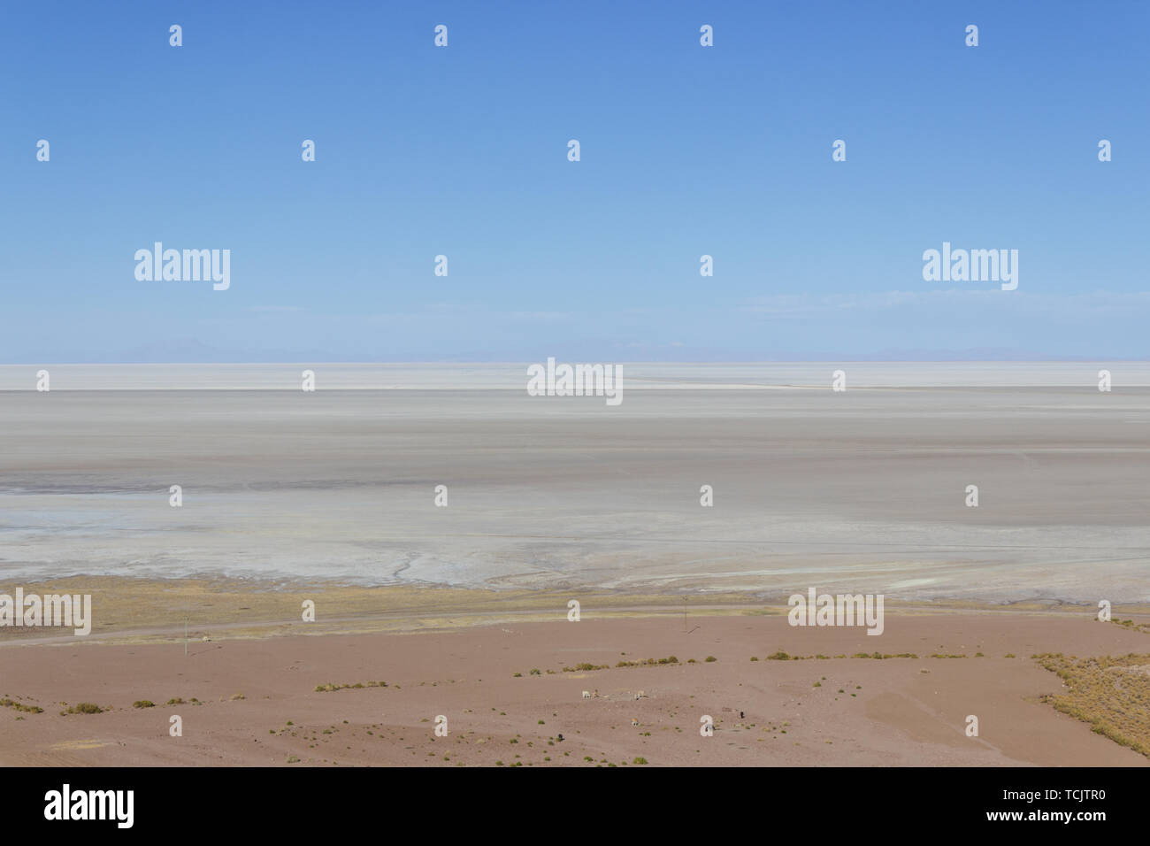 panorama over the salt pans of salar de uyuni, bolivia Stock Photo - Alamy