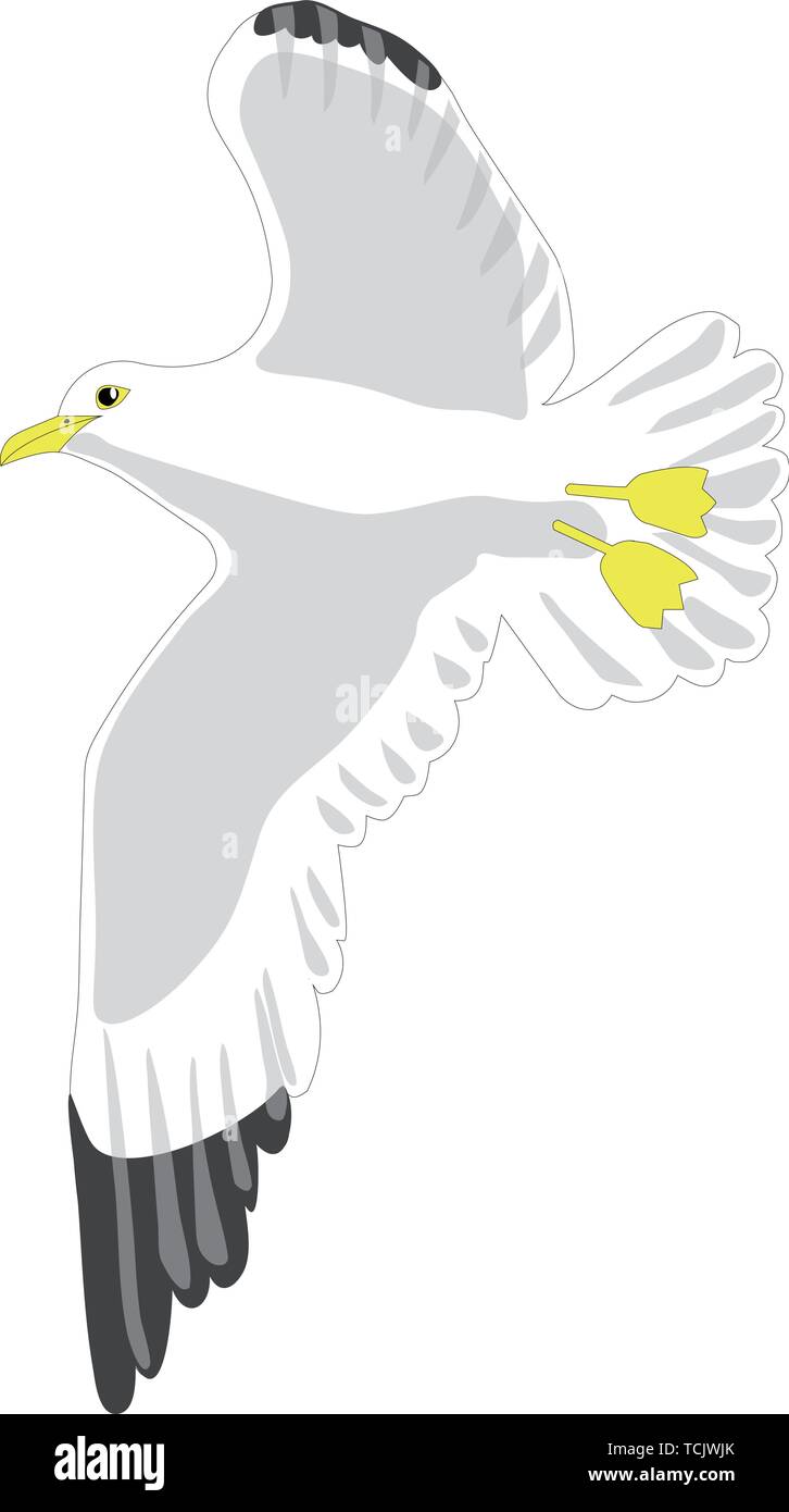 Wild bird seagull Stock Vector Images - Alamy